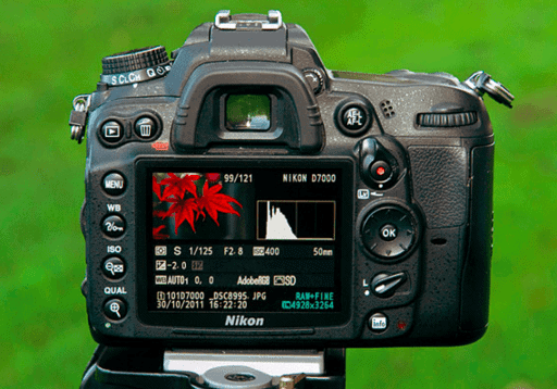 Exposing Digital Photography by Harvard Extension School - Books, Notes ...