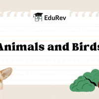 PPT: Animals and Birds - English for Class 1 (Mridang) PDF Download