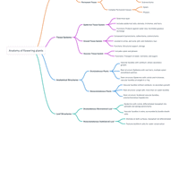 Mind Map: Anatomy of Flowering Plants - NEET PDF Download
