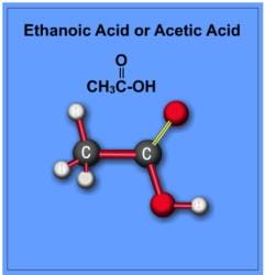 Theory and Procedure, Properties of Acetic Acid (Ethanoic Acid ...