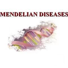 Mendelian Disorder: Sickle Cell anaemia Video Lecture | Biology Class ...