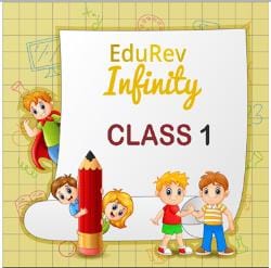 What do you get under EduRev Infinity Package for Class 1? PDF Download