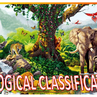 Biological Classification PPT Biology Class 11