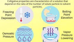 Colligative Properties: Relative Lowering of Vapour Pressure - Class 12 PDF Download