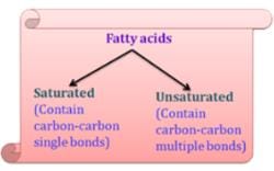 Theory and Procedure, Saponification (The process of Making Soap ...