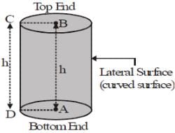 Surface Area of a Right Circular Cylinder and Right Circular Cone ...