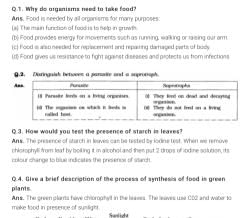 NCERT Solutions +extra questions of ch 1 science (nutrition in plants ...