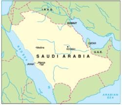 The Land of Sand: Saudi Arabia Class 5 Notes SST Free PDF