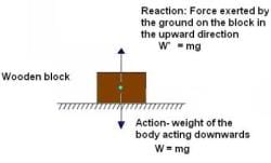 Theory - To study the Third Law of Motion using two spring balances ...