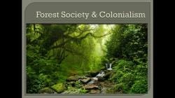 NCERT Textbook: Forest Society and Colonialism - Old and New NCERTs for ...