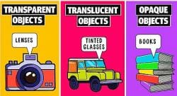 Types of objects - Science Olympiad for Class 1 PDF Download