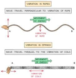 Longitudinal and Transverse Waves - Physics for Grade 12 PDF Download