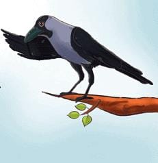 The Crow Class 2 Notes English Free PDF