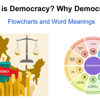 Flowcharts and Important Terms: What is Democracy? Why Democracy ...