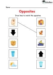 Visual Worksheets - Opposites - LKG PDF Download