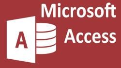 MS access - Class 8 PDF Download