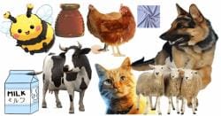 Usefulness of Animals - Science Olympiad for Class 1 PDF Download