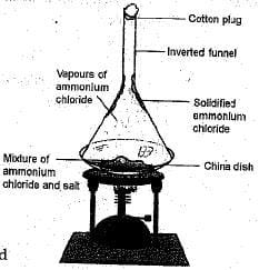 Class 9 Science: Sample Question Paper- 9 (With Solutions) PDF Download