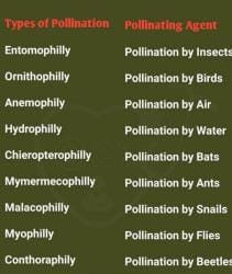 Types of pollination and their pollinating agent's - Botany PDF Download