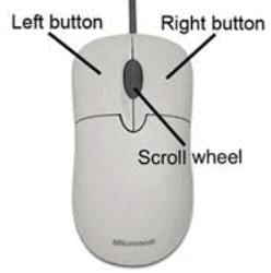 Mouse Tutorial - Class 1 PDF Download