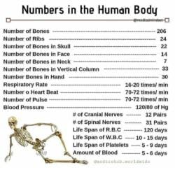 Numbers in the Human body - MBBS PDF Download