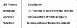 Worksheet: Organisms and Cells - IGCSE Cambridge Science for Year 6 ...