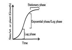 Plant Growth - Plant Growth and Development, Biology, Class 11 PDF Download