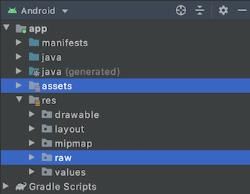 Assets Folder in Android Studio - Software Development PDF Download