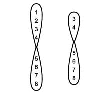 Mutation - Biology, Class 12 PDF Download