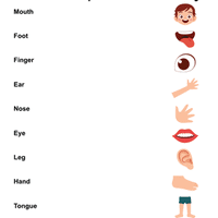 Printable Worksheet: Parts of the Body- 3 - LKG PDF Download