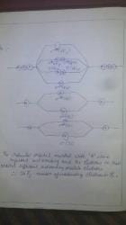 The MOT diagram of F2 - Class 12 PDF Download