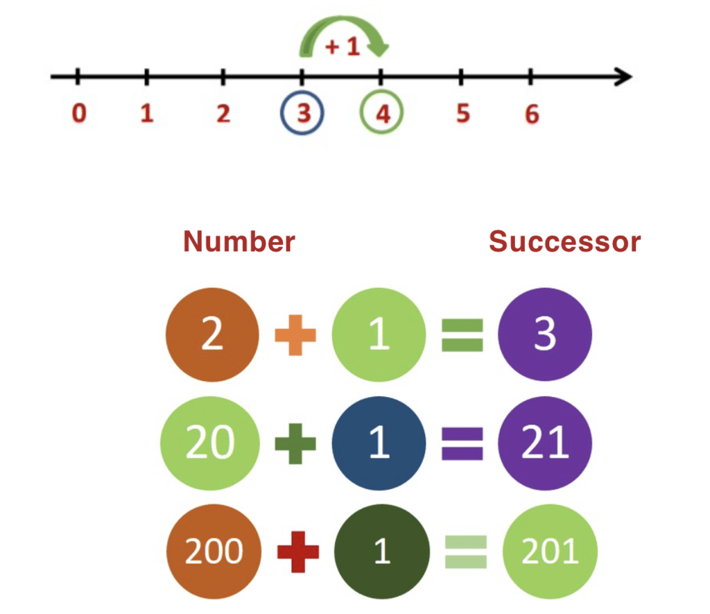 Whole Numbers- 2 Class 6 Worksheet Maths
