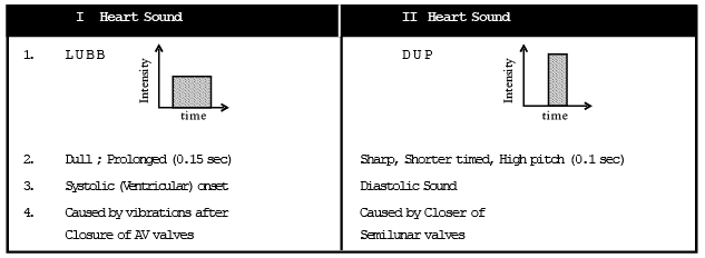 Cardiac Cycle and ECG - Biology A-Level - A Level PDF Download