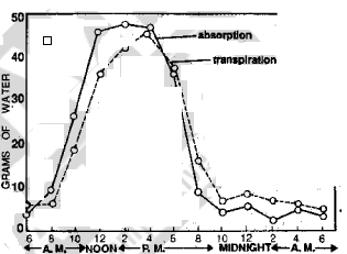 Absorption of Water - Biology A-Level - A Level PDF Download