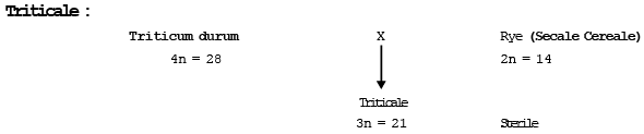 Mutation - Biology, Class 12 - Notes - Class 12
