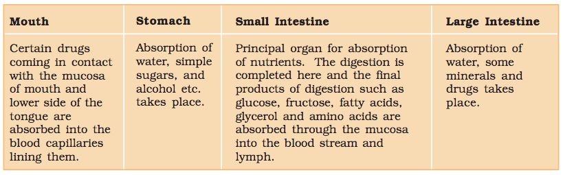 Absorption of Digested Products and Disorders of Digestive System ...