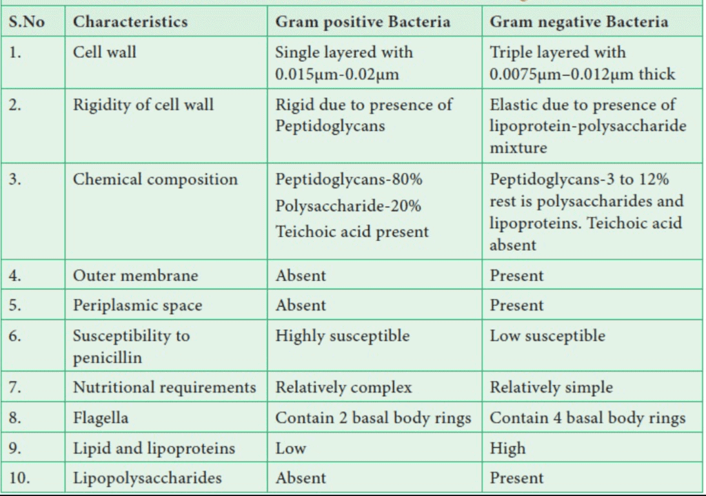 Prokaryotic Cells: Cell Envelope and Components of Bacterial Cell ...