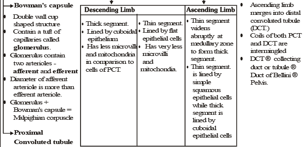 Counter Current Mechanism - Notes | Study Biology Class 11 - NEET