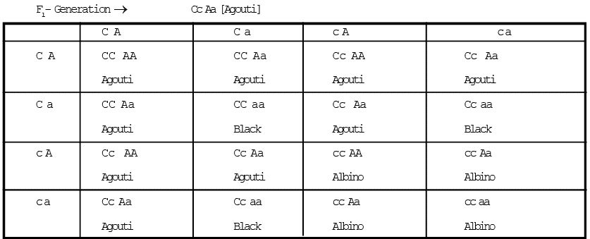 Genetics, Class 12, Biology - General Awareness and Knowledge - Bank ...