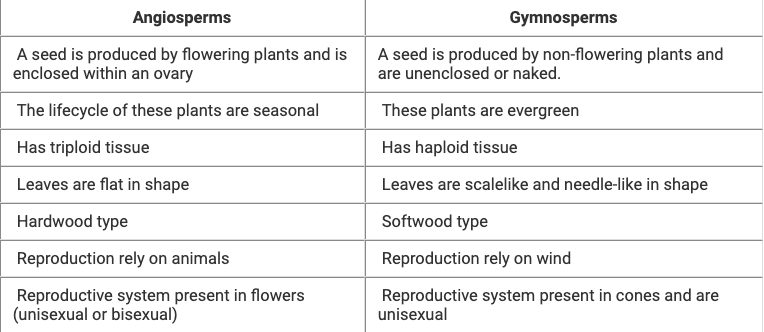 Detailed Notes: Angiosperms - Notes | Study Biology Class 11 - NEET
