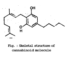 Drugs and Alcohol Abuse - Biology Class 12 - NEET PDF Download