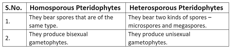 NCERT Solutions Class 11 Biology Chapter 3 - Plant Kingdom