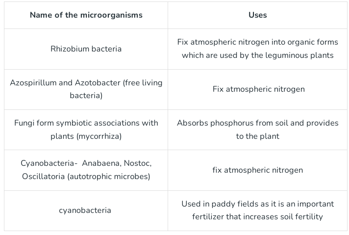 Microbes in Human Welfare Chapter Notes - Biology Class 12 - NEET PDF ...