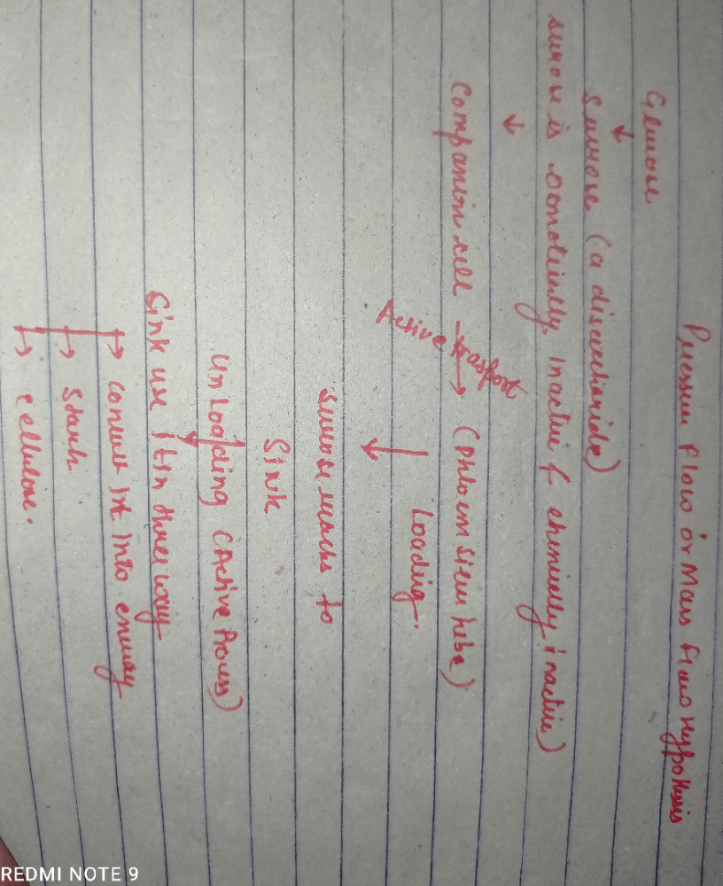 Give an easy mind-map and complete explanation of pressure flow or mass ...