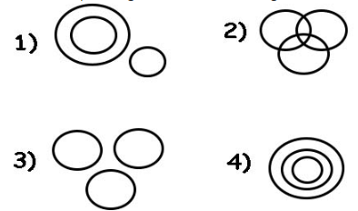 Practice Questions: Logical Venn Diagram - Logical Reasoning for CLAT ...