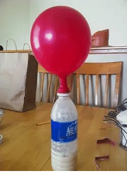 10 Amazing Science Experiments for Class 10 Students To Try At Home PDF ...