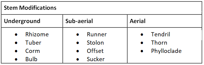 Mnemonics: Morphology of Flowering Plants - Biology Class 11 - NEET PDF ...