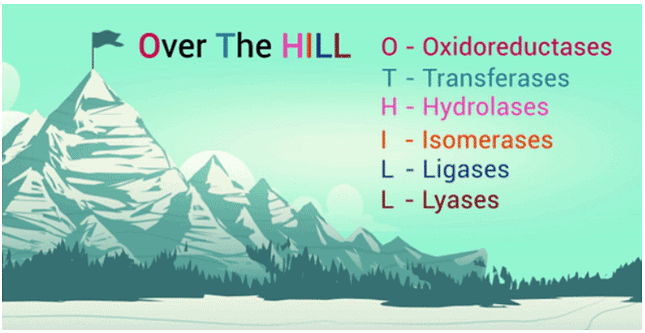 Mnemonics: Biomolecules - Biology Class 11 - NEET PDF Download