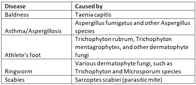 Mnemonics: Human Health and Diseases - Biology Class 12 - NEET PDF Download