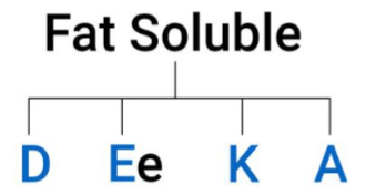 Mnemonics: Biomolecules - Biology Class 11 - NEET PDF Download
